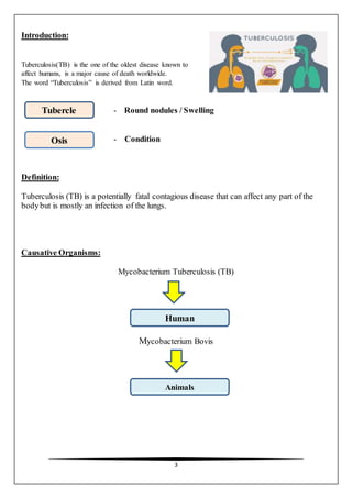 Detailed examination of tuberculosis in microbiology laboratory ...