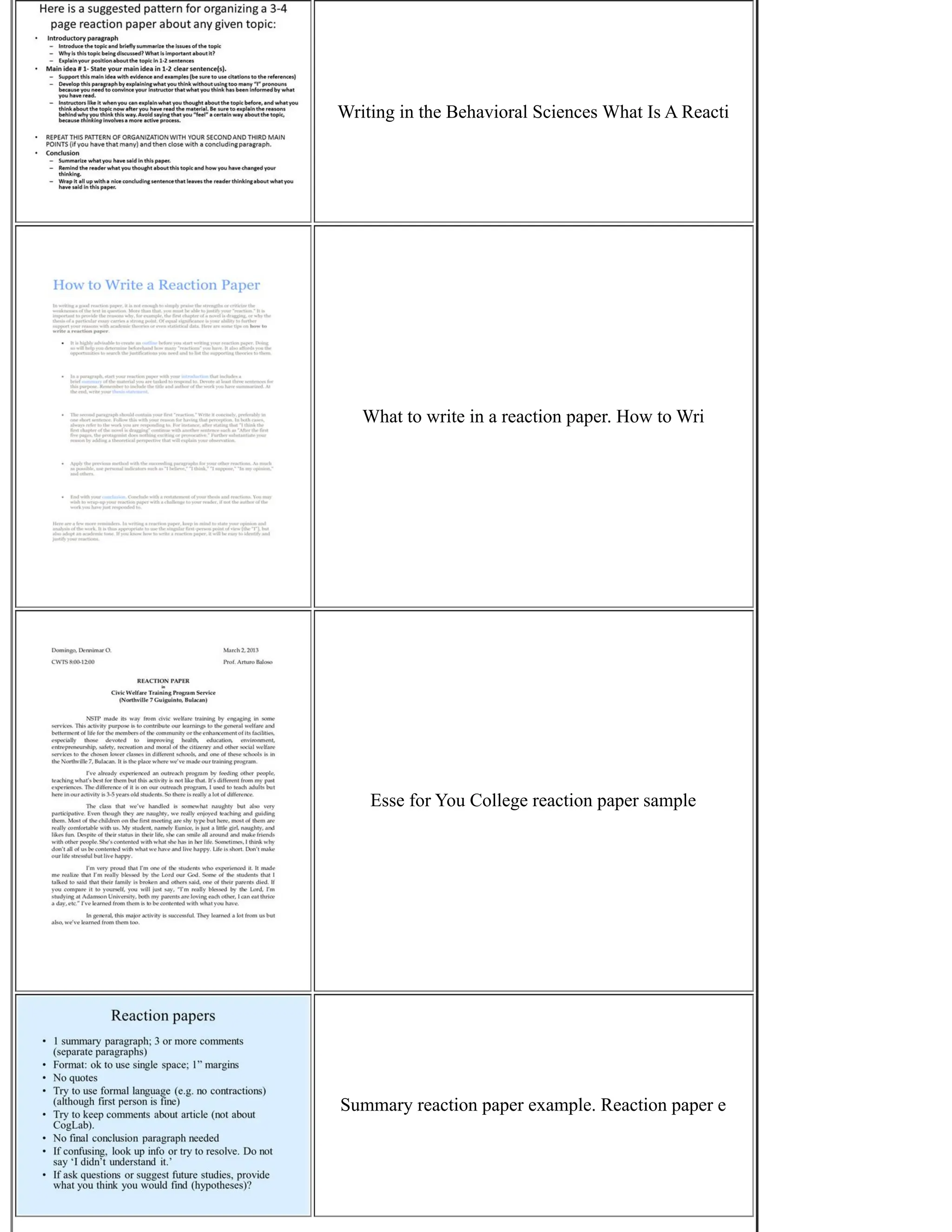 Write A Reaction Paper | PDF