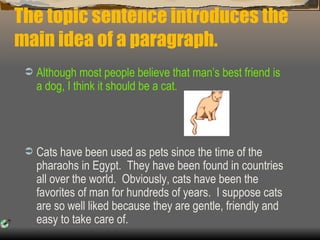 Write paragraph | PPT