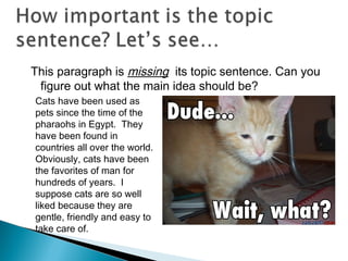 Write paragraph2 | PPT