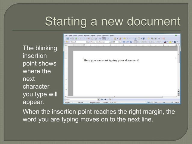 Libre Office Writer Lesson 1 | PPTX | Desktop Publishing | Computer Software and Applications