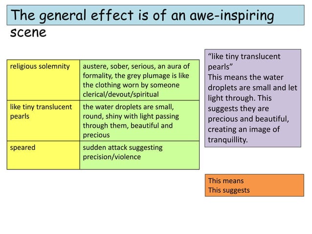 Writer's Effect Analysis.pptx