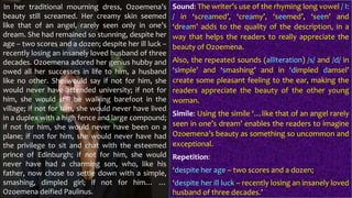 Writer's use of language writer's effect | PPTX