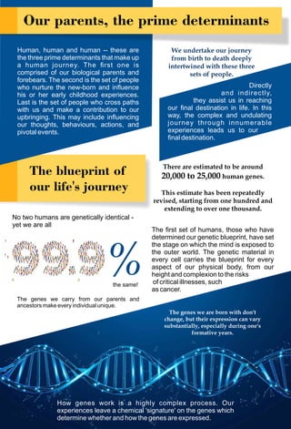 Write script of your life journey. | PDF