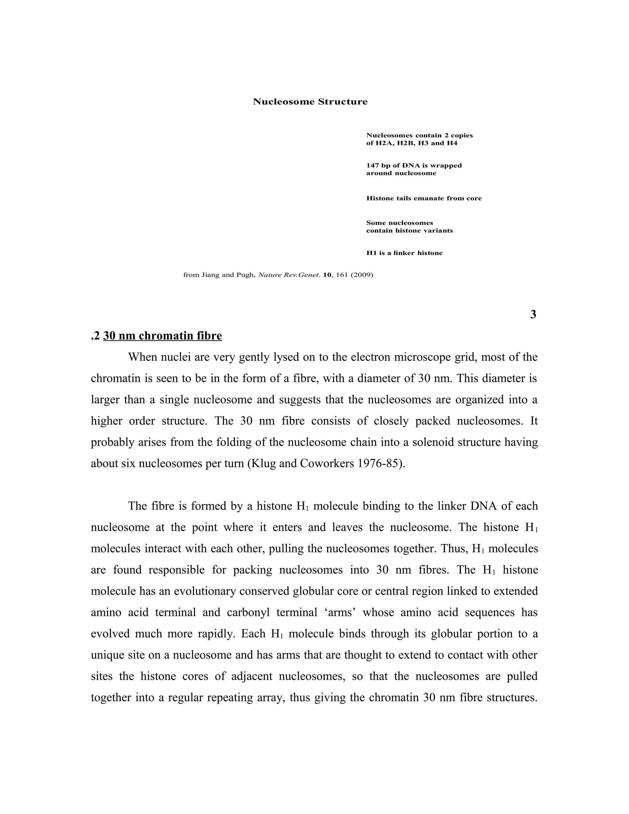 STRUCTURE AND ORGANIZATION OF CHROMATIN | DOC