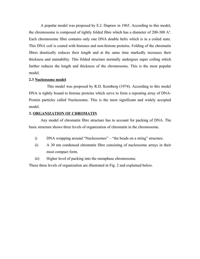STRUCTURE AND ORGANIZATION OF CHROMATIN | DOC