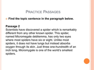 Topic Sentences | PPTX