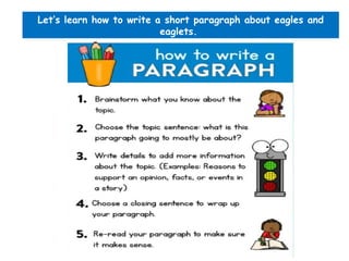 Grade 2 Writing Activity: Crafting Paragraphs About Eagles and Eaglets ...