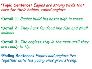 Grade 2 Writing Activity: Crafting Paragraphs About Eagles and Eaglets ...