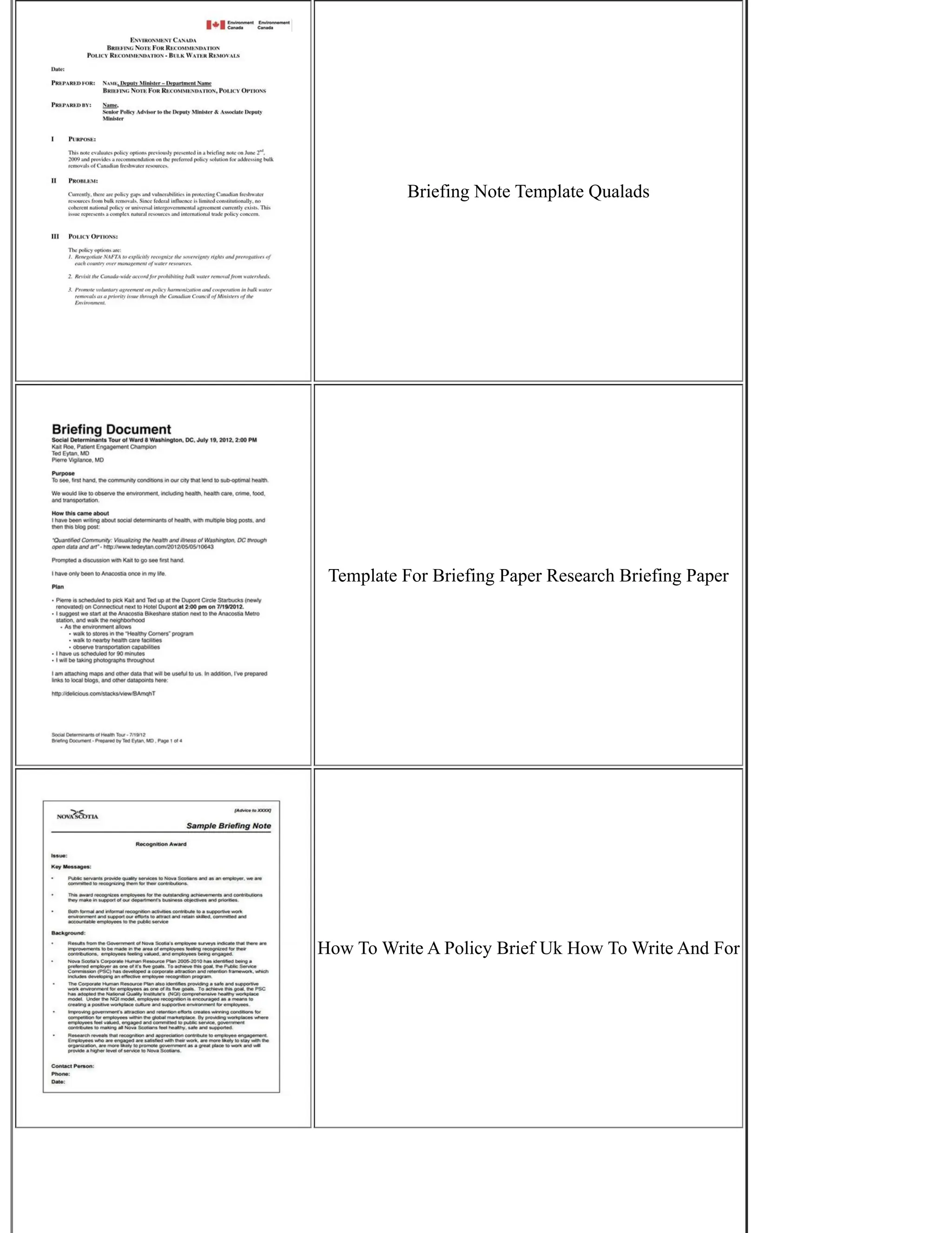 Writing A Briefing Paper | PDF