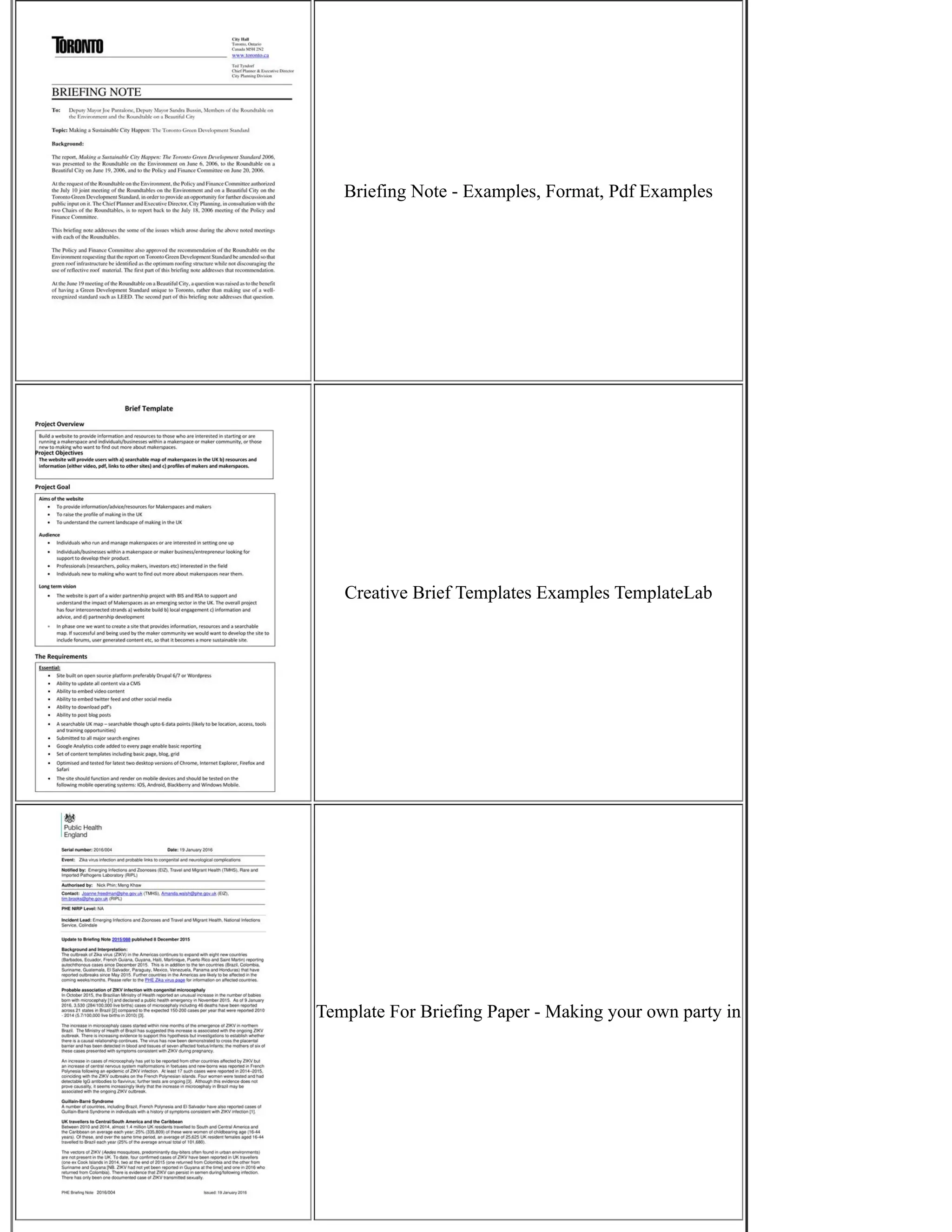 Writing A Briefing Paper | PDF