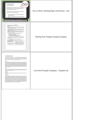 Writing A Briefing Paper | PDF