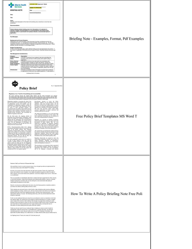 Writing A Briefing Paper | PDF