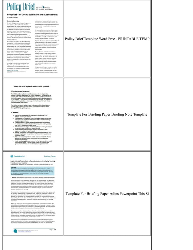Writing A Briefing Paper | PDF
