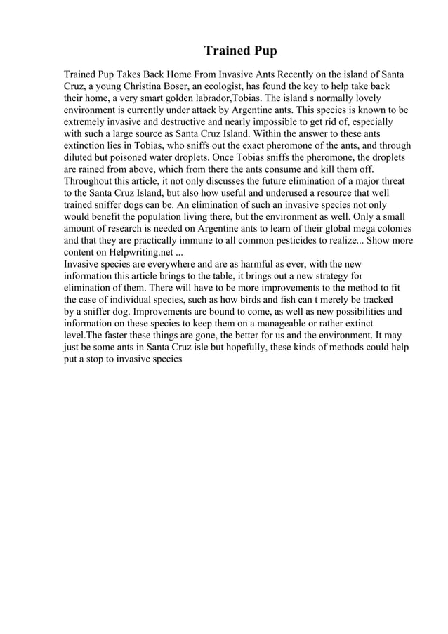 Writing A Critical Essay Sample.pdf