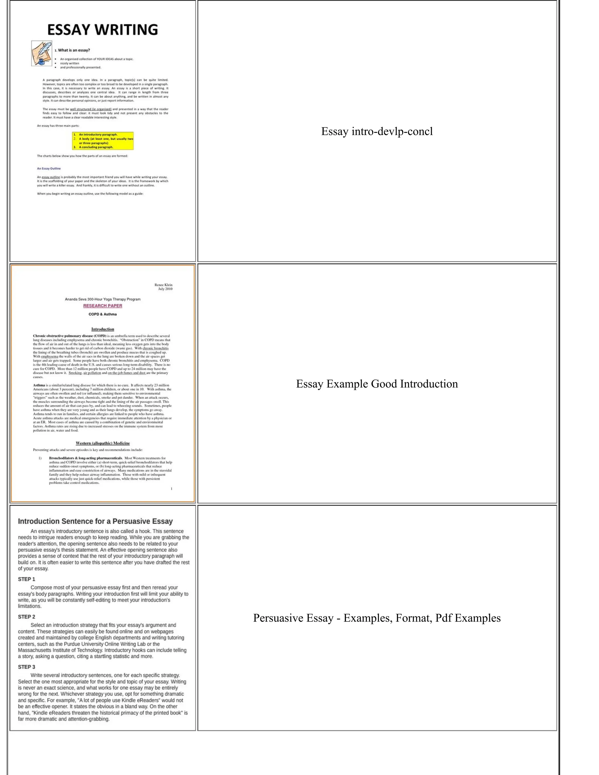 Writing A Good Essay Introduction | PDF