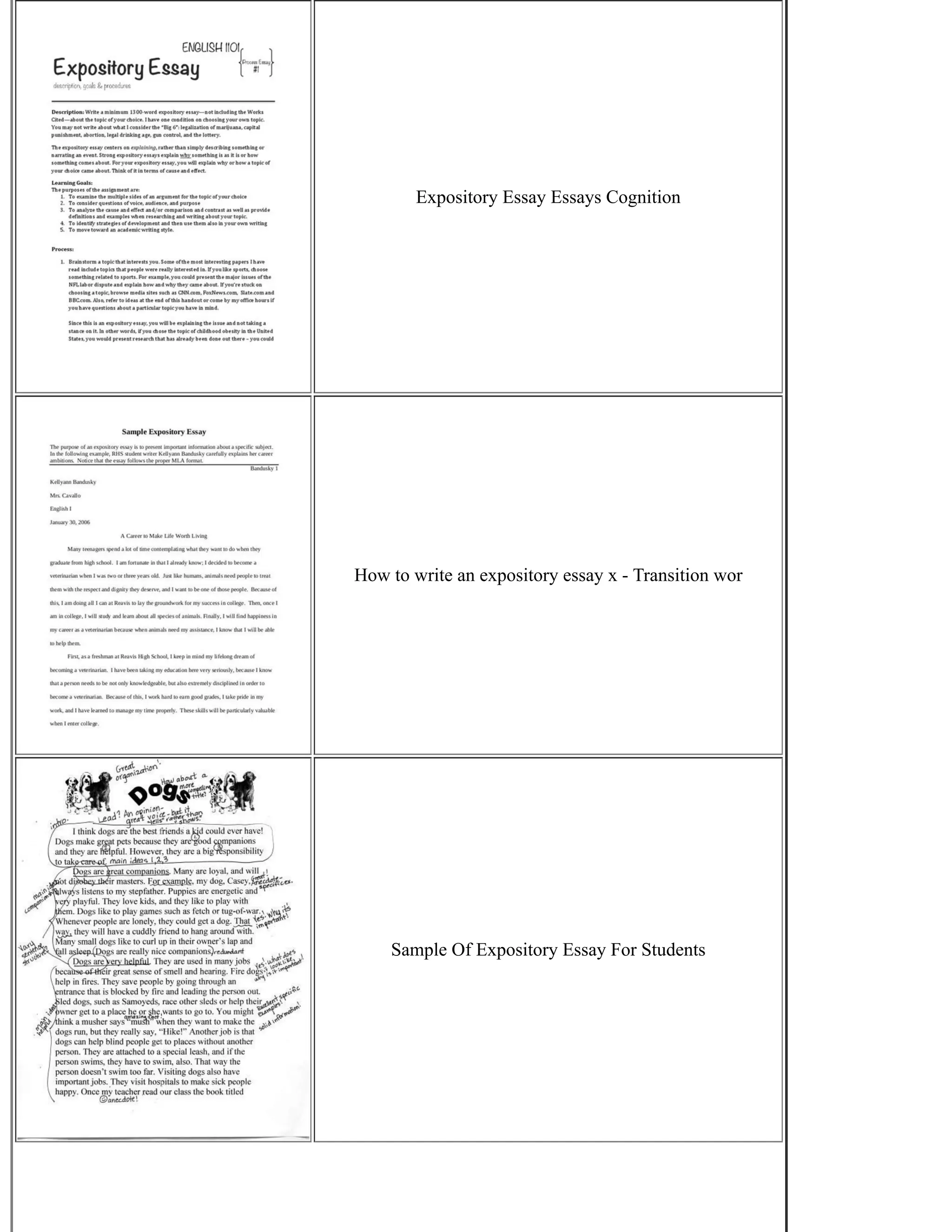 Writing An Expository Essay | PDF