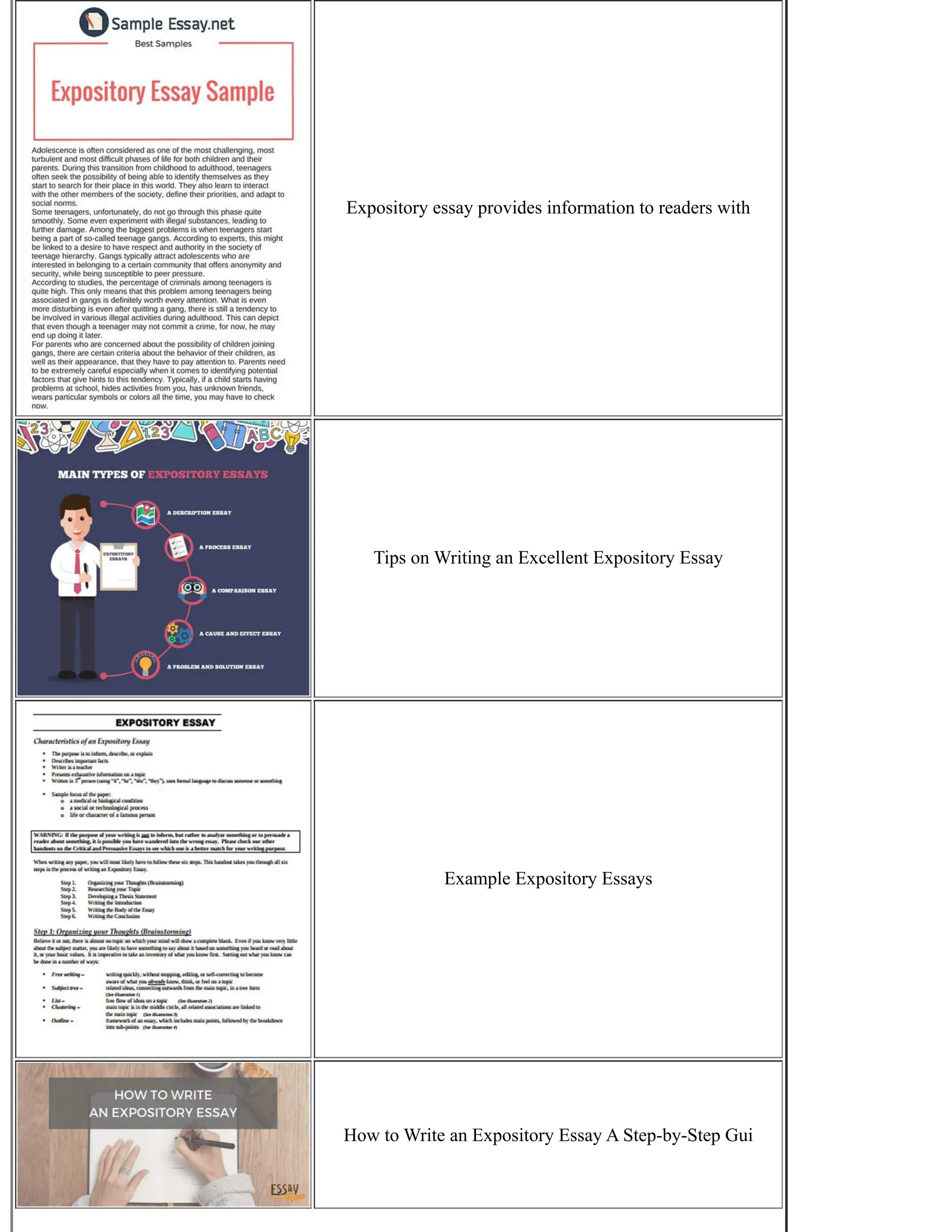 Writing An Expository Essay | PDF