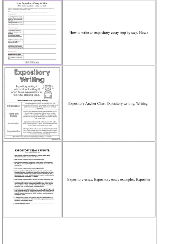 Writing An Expository Essay | PDF