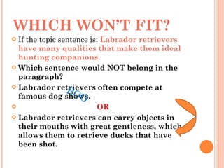 Writinga perfectparagraph[1] | PPT