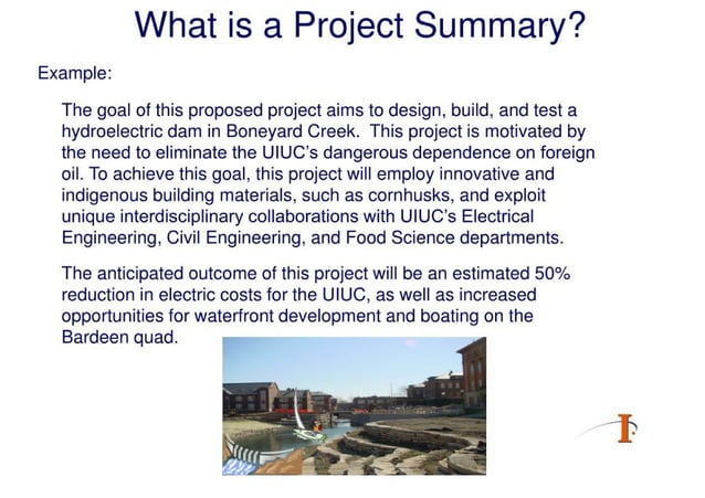 Writing A Project Summary | PDF