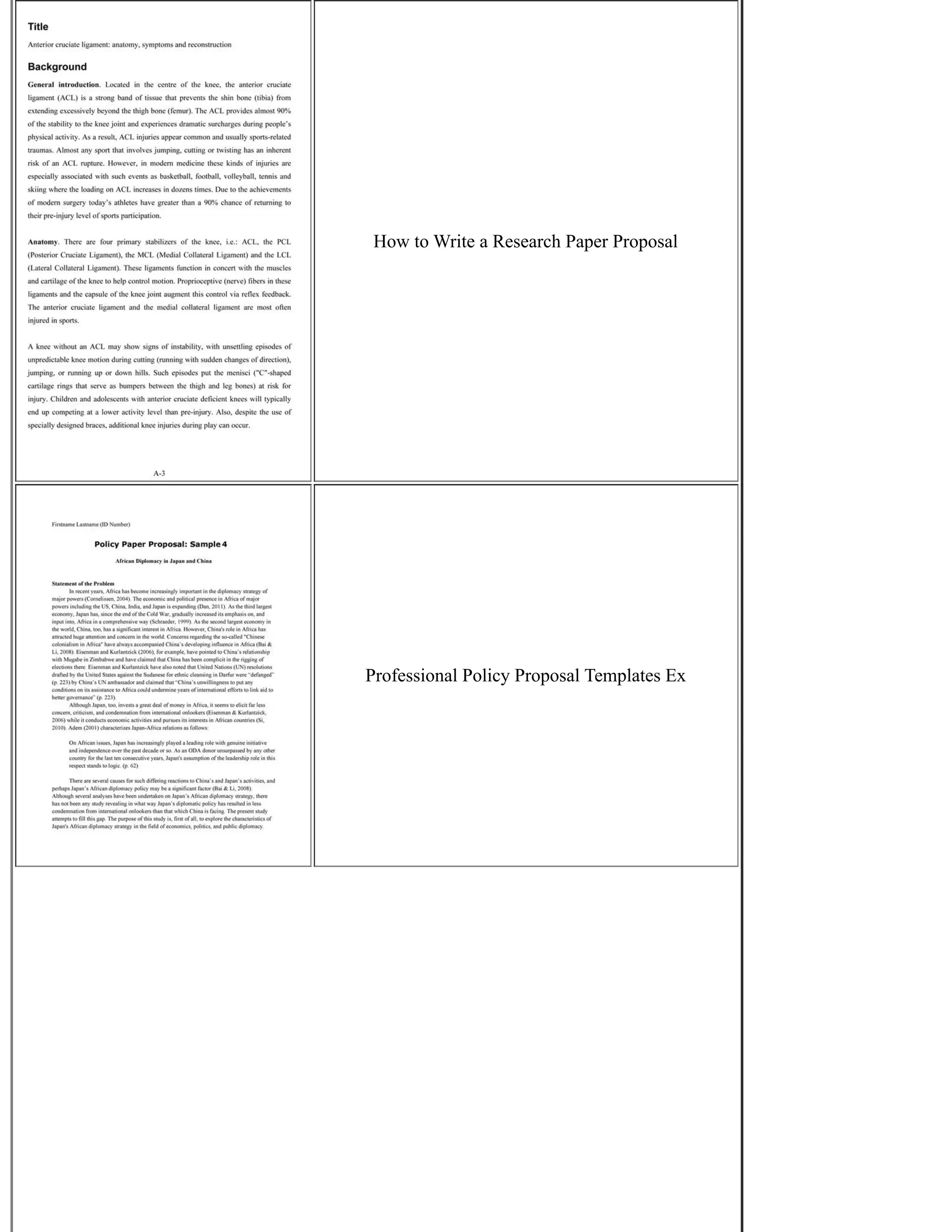 Writing A Proposal Paper | PDF