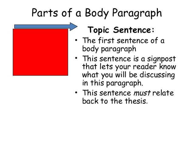 What Are The Parts Of A Body Paragraph - Design Talk
