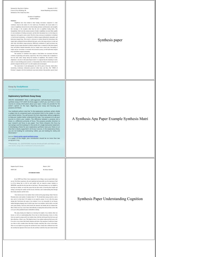 writing a synthesis paper.pdfWriting A Synthesis Paper | PDF