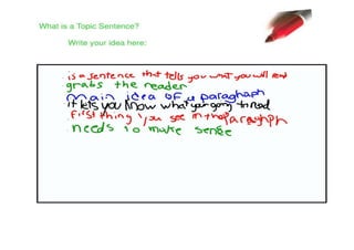 Writing A Topic Sentence | PDF