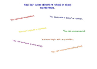 Writing A Topic Sentence | PDF
