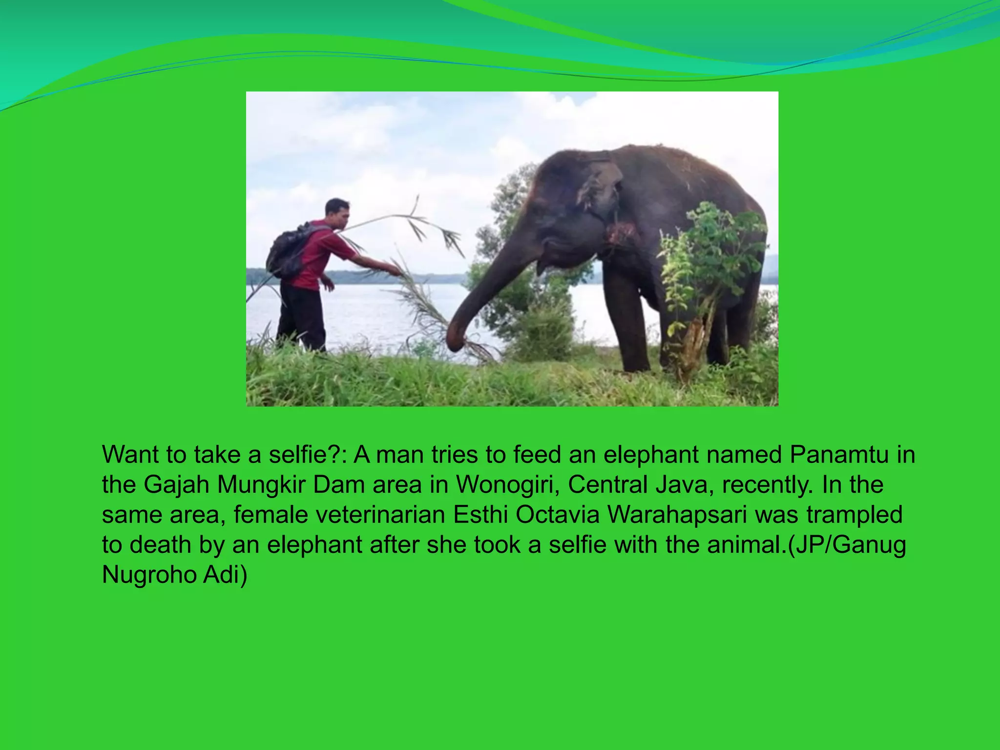 writing captions.pdf