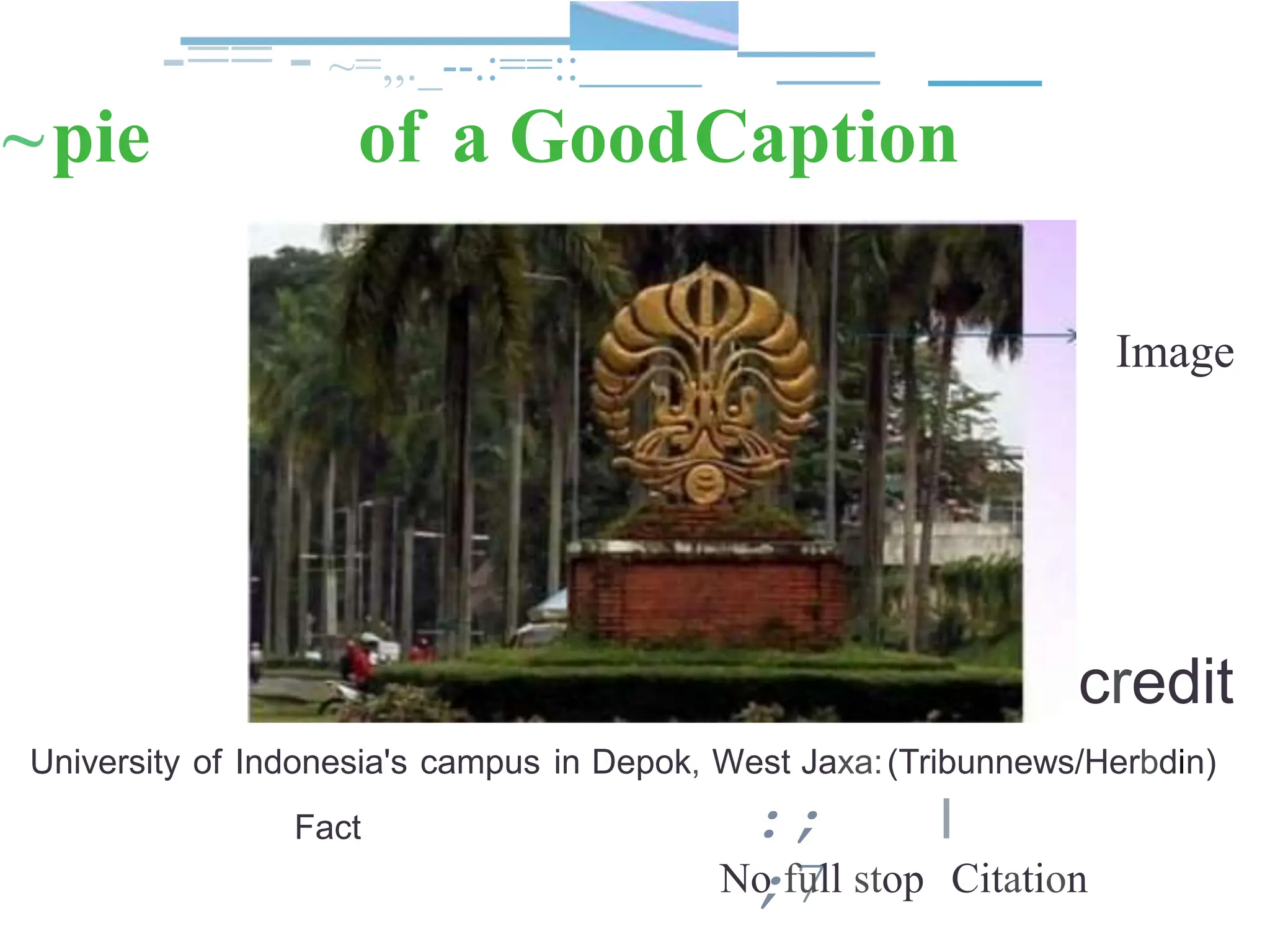 Writing Captions.pptx