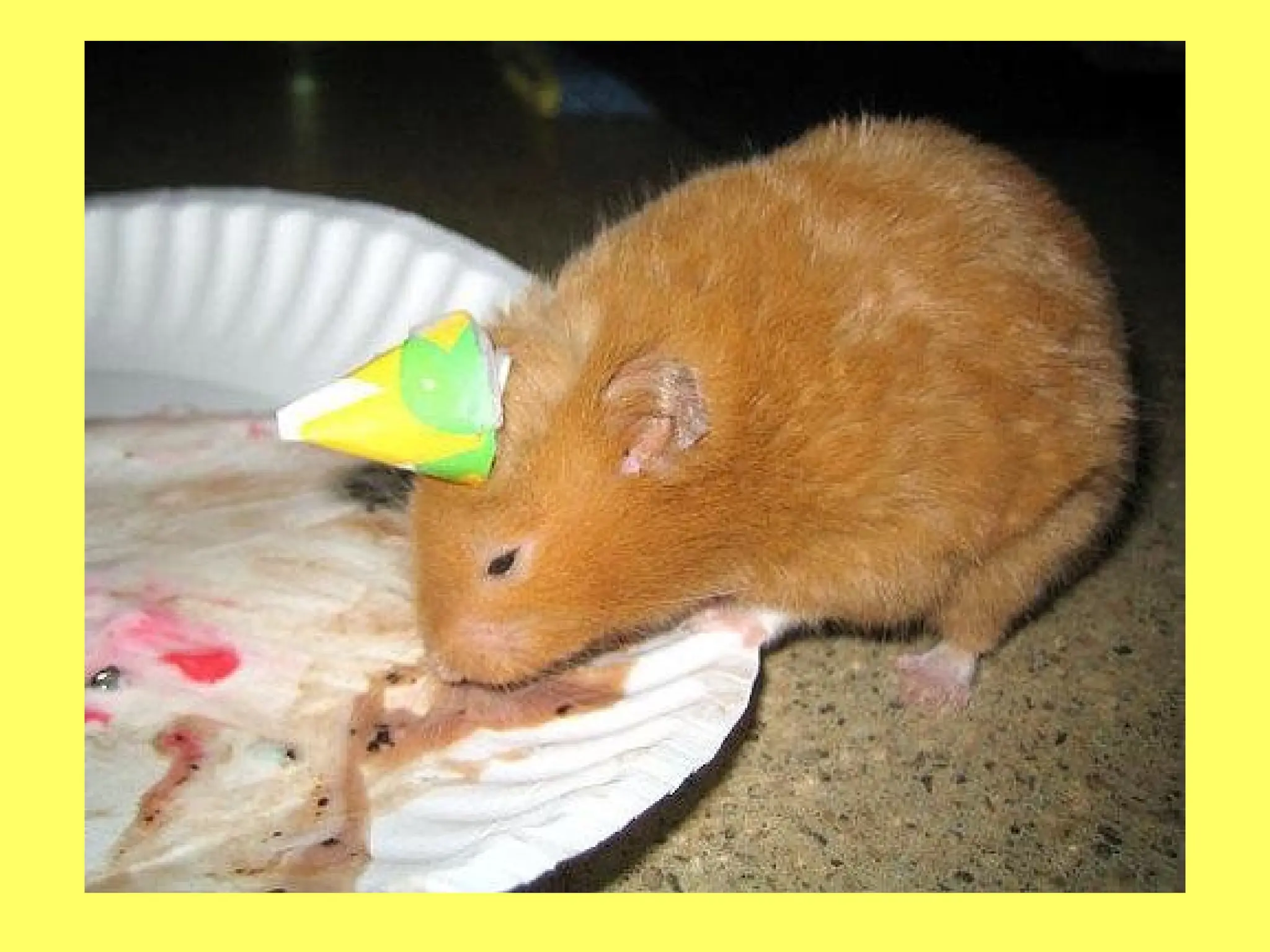 writing captions ppt and lesson class twelve | PPTX