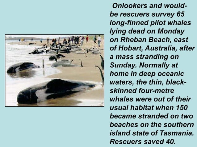 writing captions ppt and lesson class twelve | PPT