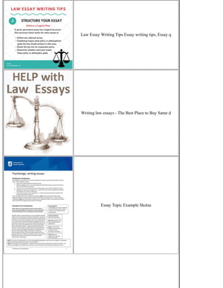 Writing Law Essays | PDF