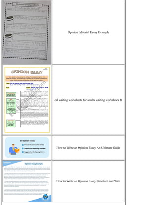 Writing Opinion Essay | PDF