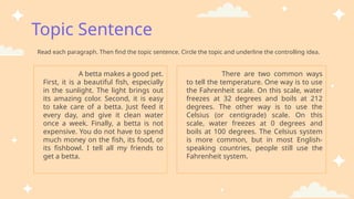 Writing Skill. How to write a paragraph. | PPTX