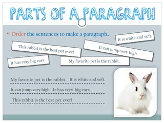 Writing Descriptive Paragraphs | PPT