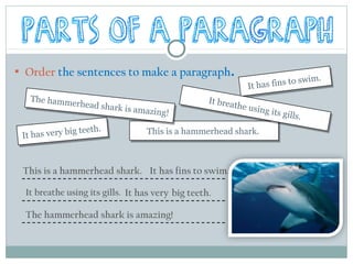 Writing Descriptive Paragraphs | PPT