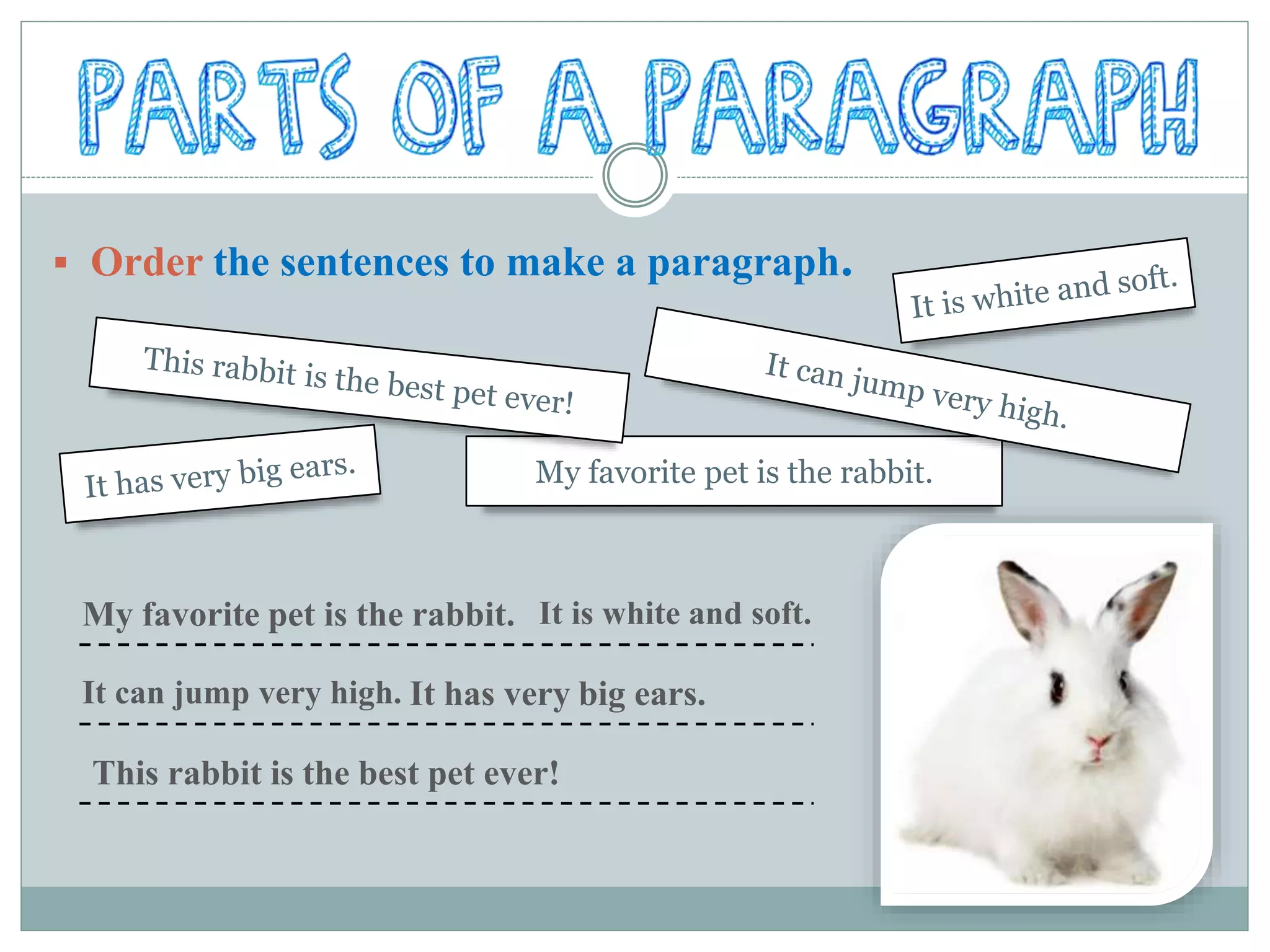 Writing Paragraphs | PPTX
