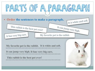 Writing Paragraphs | PPTX