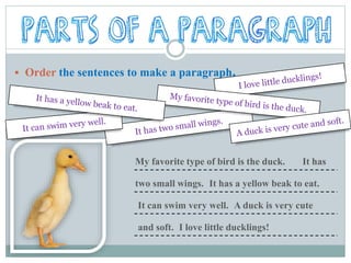 Writing Paragraphs | PPTX