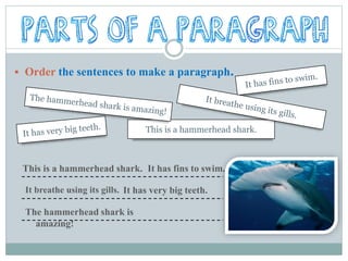 Writing Paragraphs | PPTX