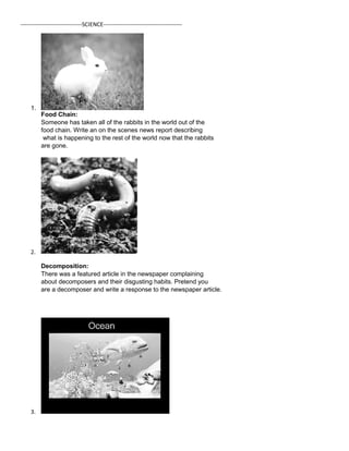 Science Writing Prompts 8th | PDF