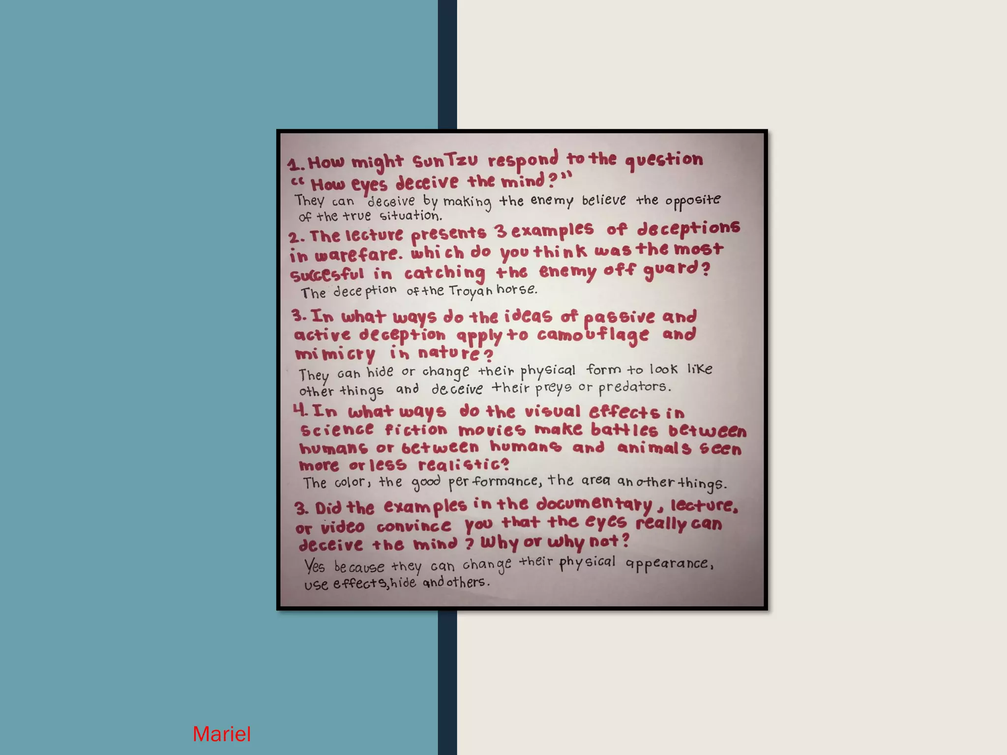 Writings about Visual Deception | PPT