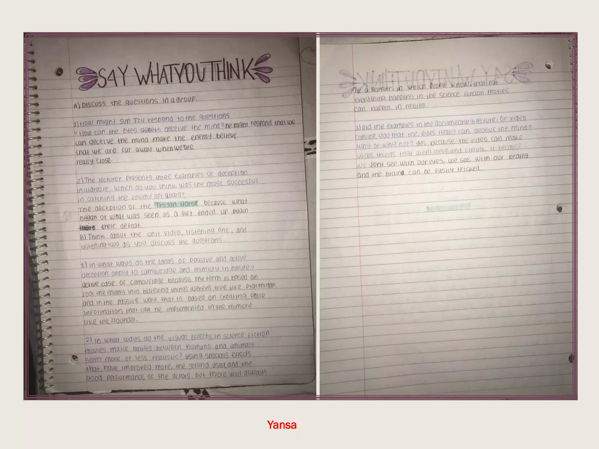 Writings about Visual Deception | PPT