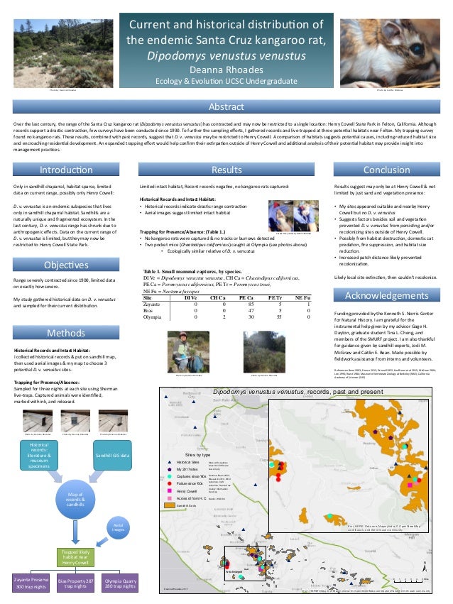 Bachelor's thesis poster (Deanna K. Rhoades)
