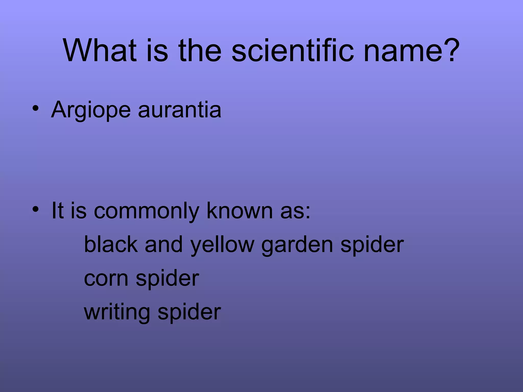 Writing Spiders | PPT