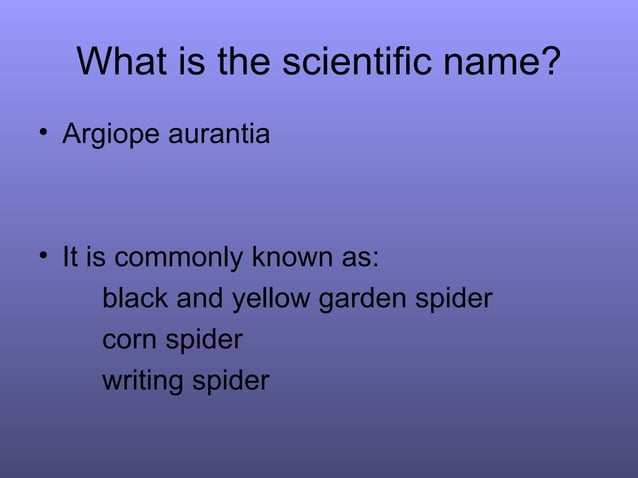 Writing Spiders | PPT