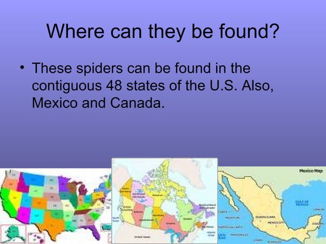 Writing Spiders | PPT